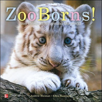Pre-Owned Reading Wonders Literature Big Book: Zoo Borns! Grade K ...