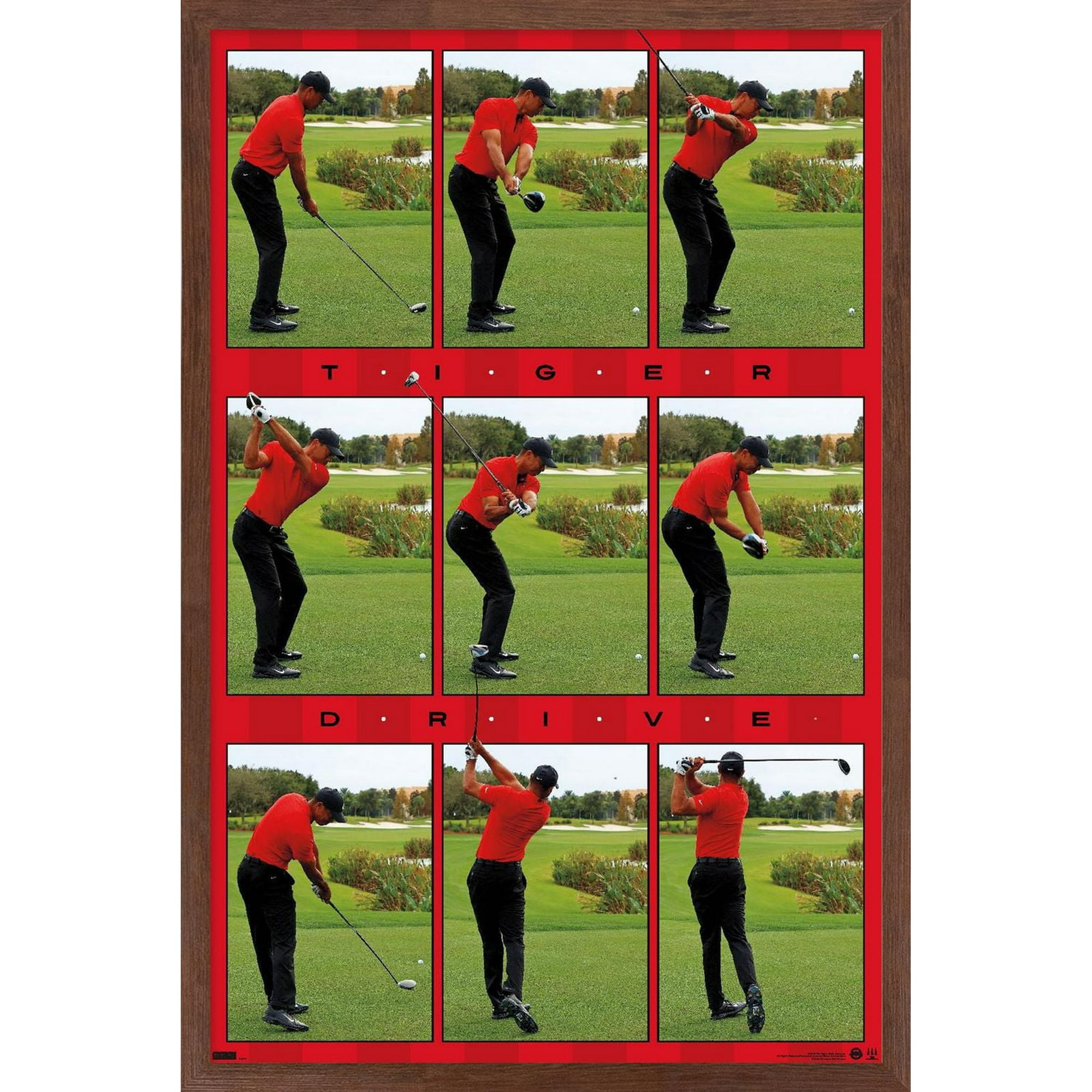 Click here for Trends International Tiger Woods - Drive Wall Post... prices