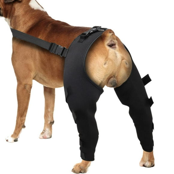 Hip Brace Dogs