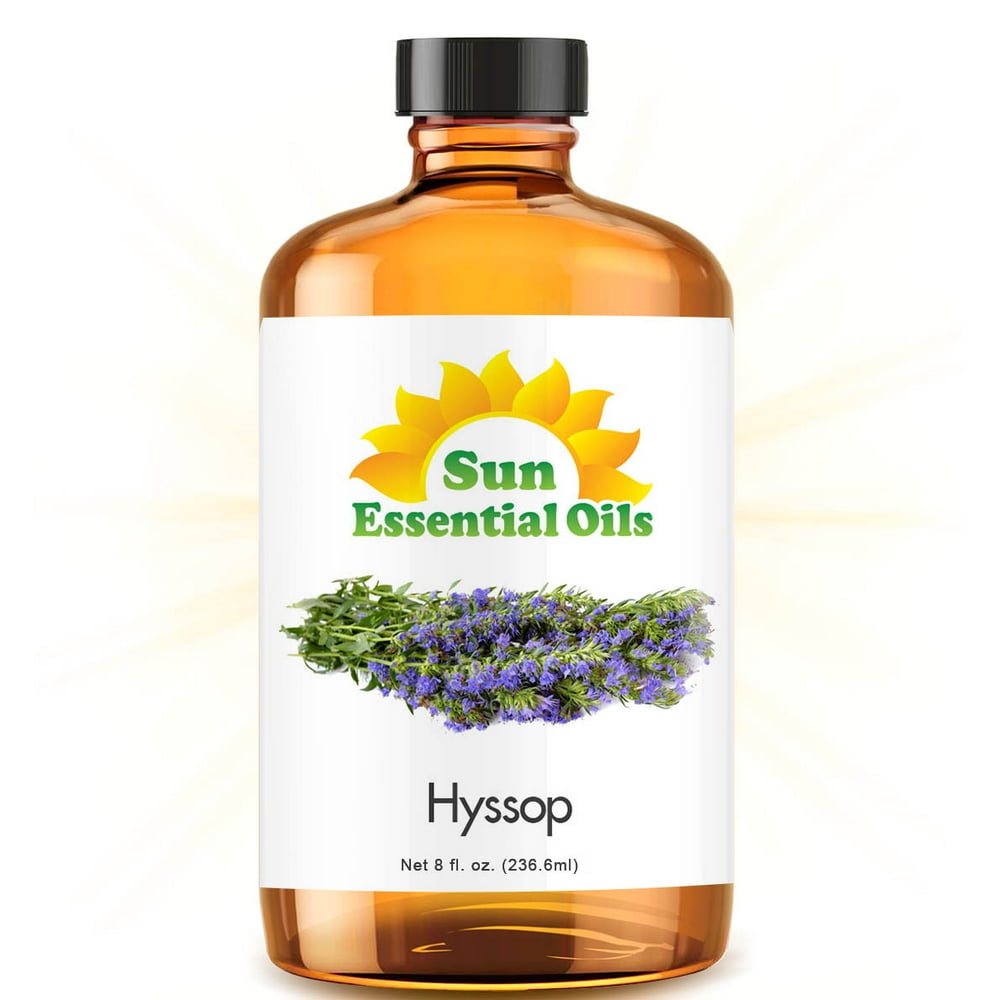 Hyssop Essential Oil (Huge 8oz Bottle) Bulk Hyssop Oil - 8 Ounce ...