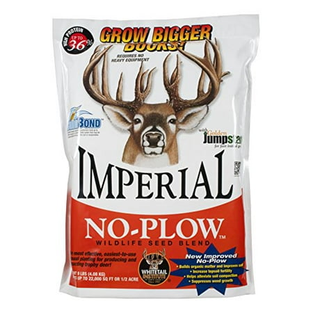 Whitetail Institute Imperial "No-Plow" Food Plot Seed (Spring and Fall ...
