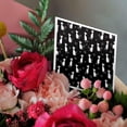 3drose, Cute Black and White Cat and Curly Cue Pattern, 6 Greeting ...