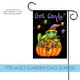 Toland Home Garden Toad Candy Frog Halloween Flag Double Sided 12x18 ...