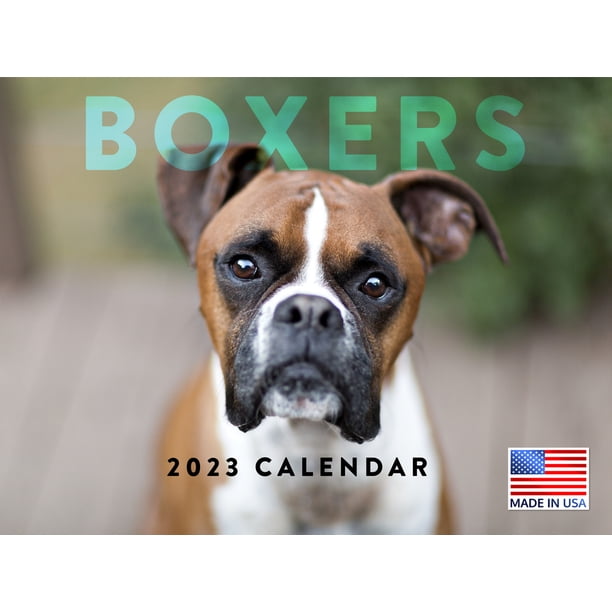 Dog Schedule Chart