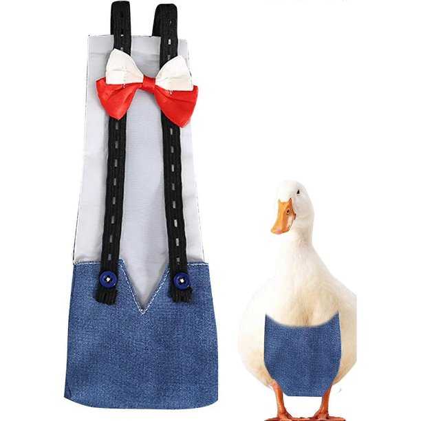 Pañales para patos, pañales para gallinas, pañales lavables para ...