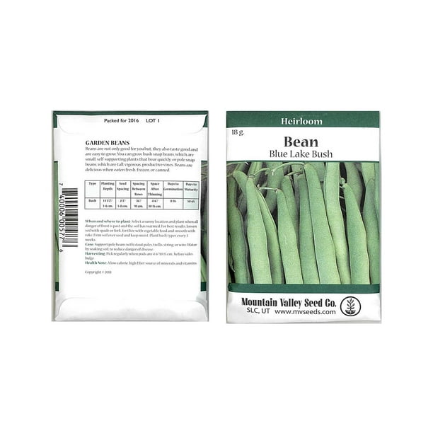 Blue Lake Bush Bean 274 Seeds - 18 Gram Packet - Non-GMO, Heirloom ...