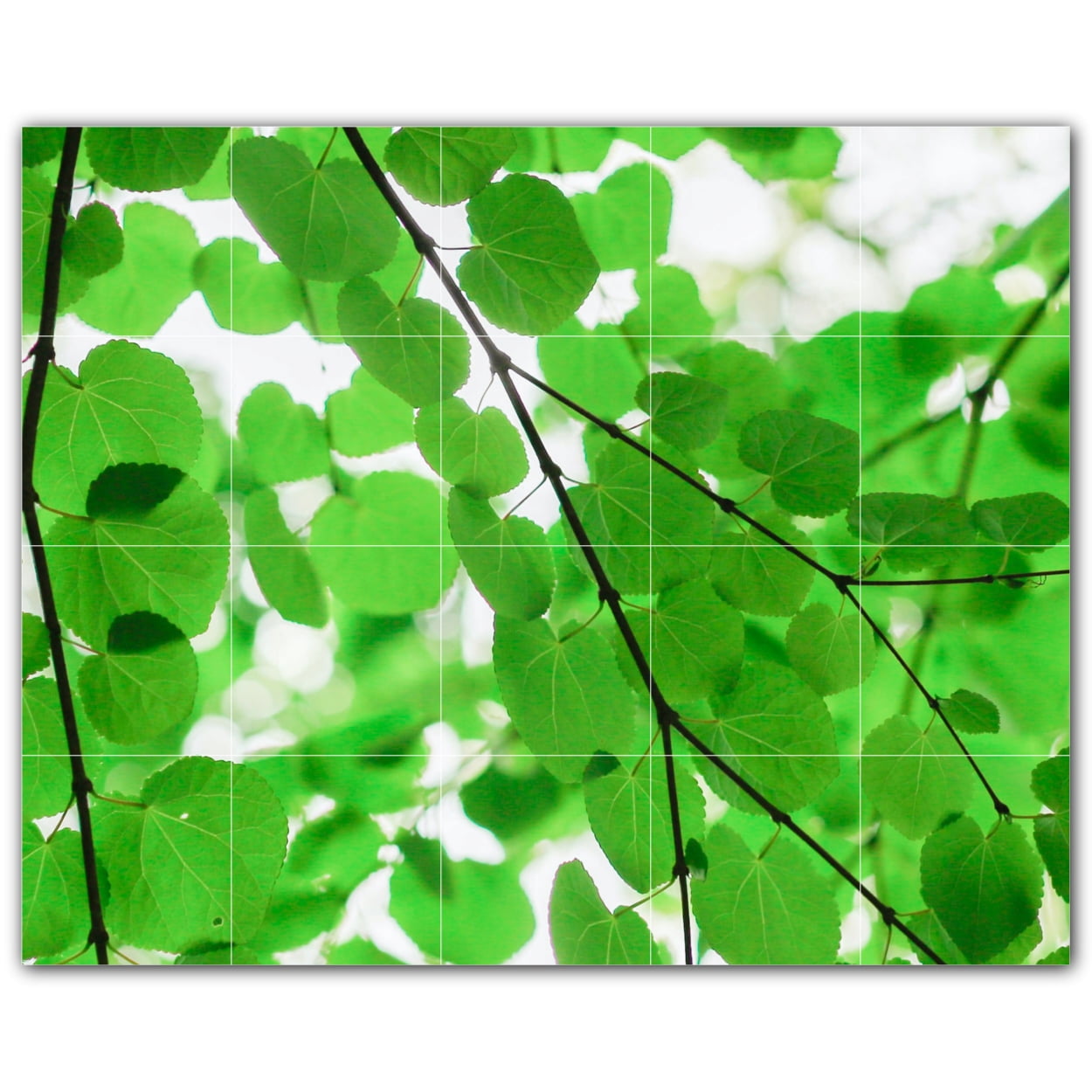 Picture-Tiles.com: Trees Ceramic Tile Wall Mural WAL501016-54XL. 60"W x ...