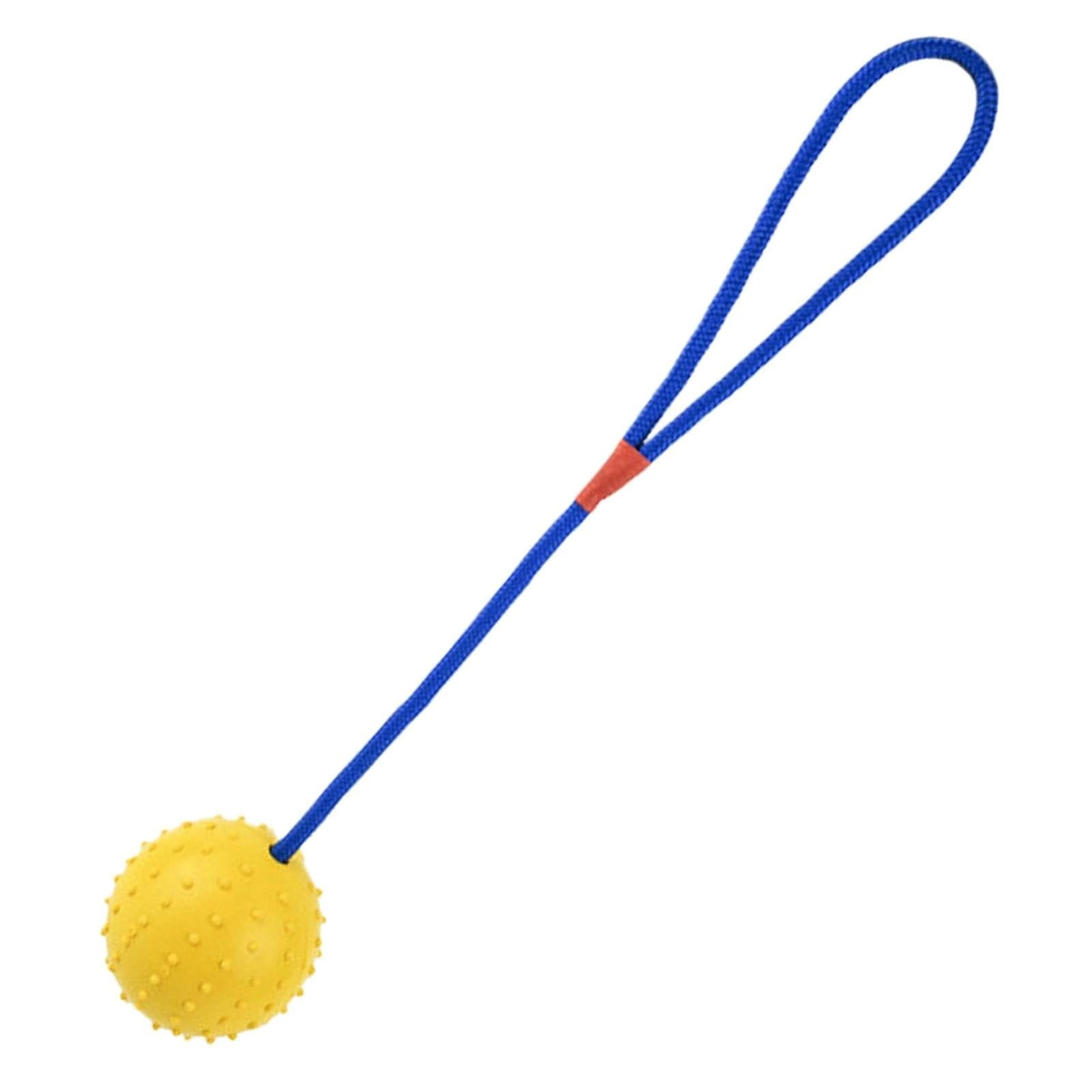 Click here for Asddcavvf Dog On A Rope Dog Toy Interactive Cat To... prices