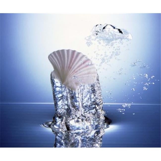 White scallop shell being raised on pillar of bubbling water Poster ...