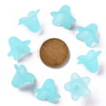 500 g Transparent Acrylic Beads Frosted Flower Light Cyan 17.5x12mm ...