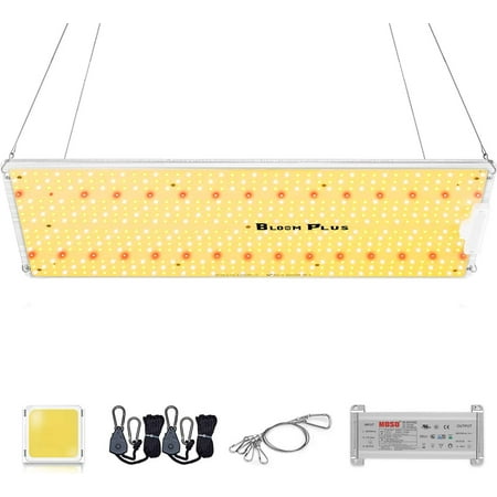 BLOOM | Walmart Canada