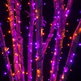 Wintergreen 70 LED Purple & Orange Halloween String Lights, 24', Indoor ...