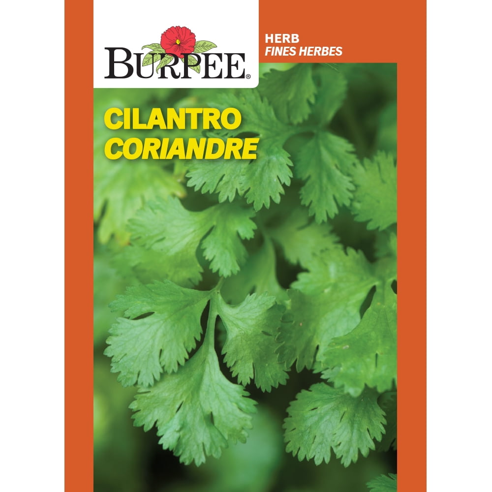 Click here for Burpee Canada Burpee Organic Cilantro prices