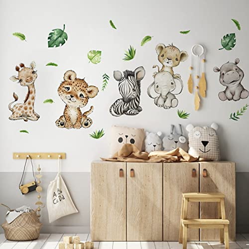 Baby African Safari Animals
