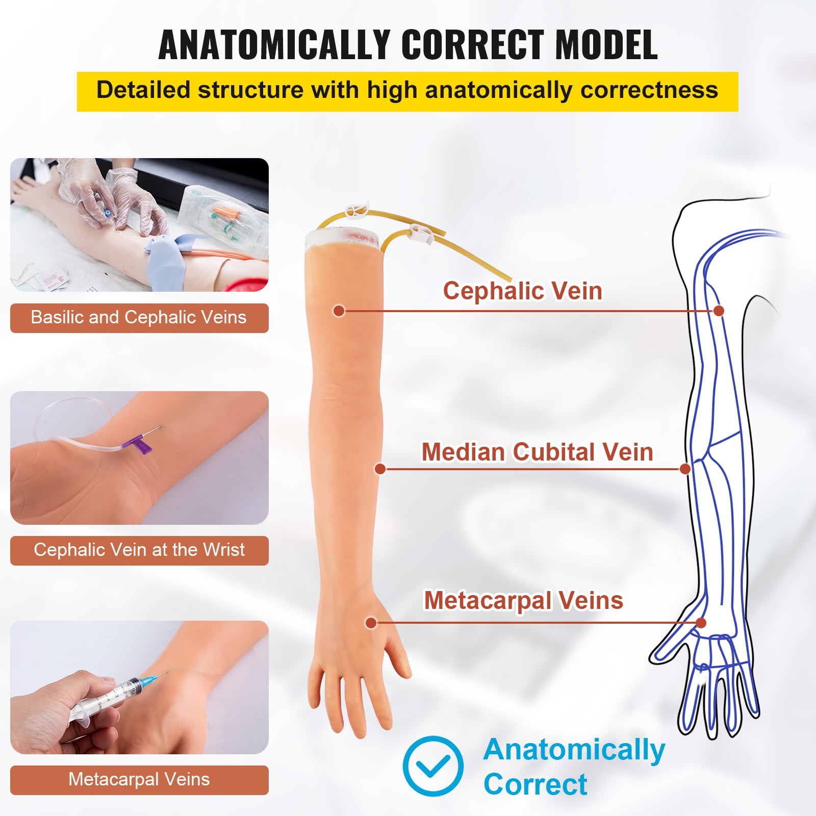 Phlebotomy Arm Diagram VEVOR Iv Kit Iv Practice Arm Phlebotomy