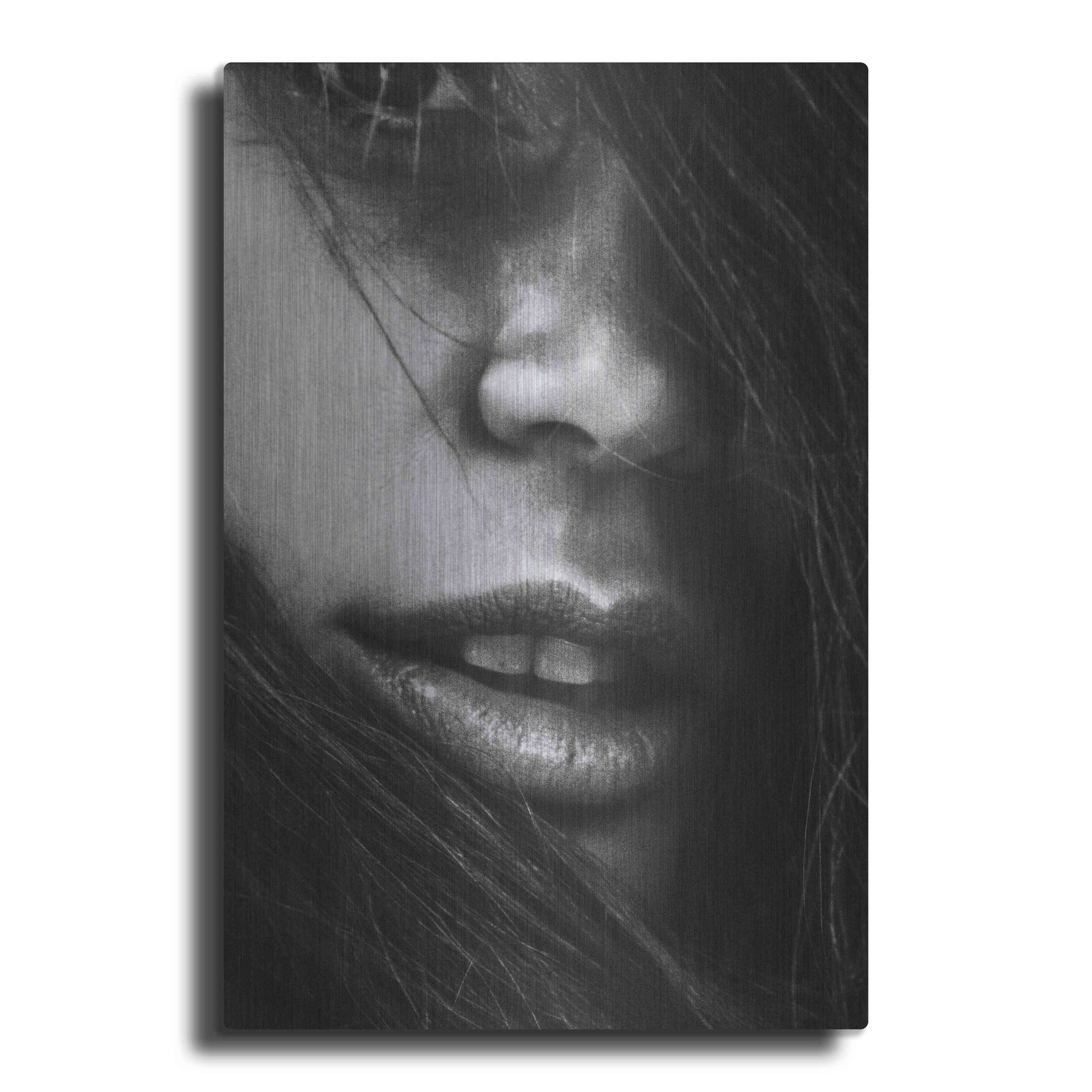 Luxe Metal Art 'Face 4' by Design Fabrikken, Metal Wall Art, 24"x36 ...