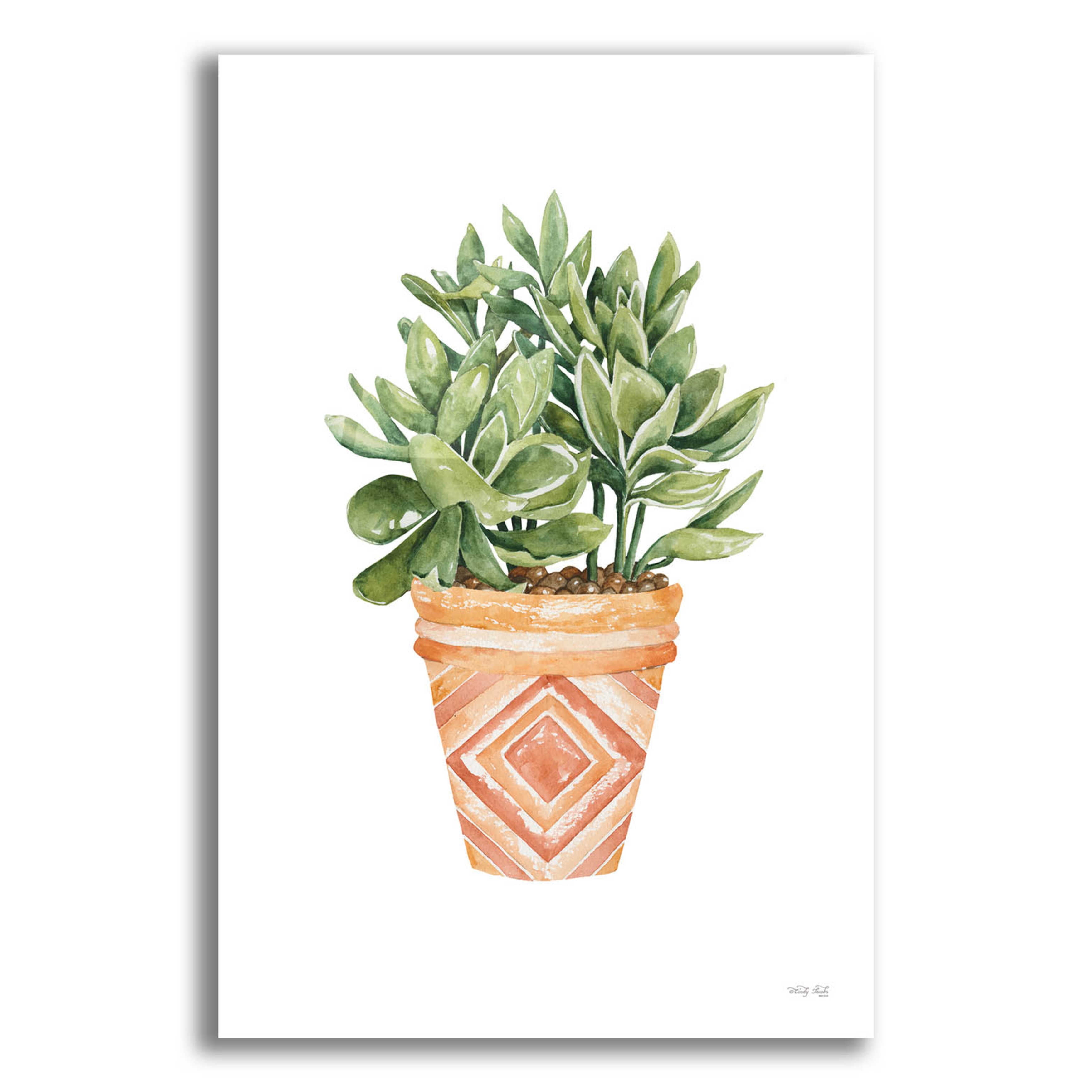 Epic Art 'Aztec Pot I' by Cindy Jacobs, Acrylic Glass Wall Art, 12"x16 ...