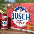 Busch Light Apple American Lager Beer 12 pack, 12 fl oz Cans , 4.1% ABV ...