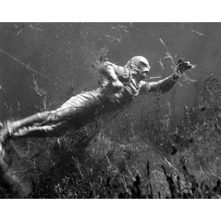 Creature From The Black Lagoon Swimming Creature From The Black Lagoon