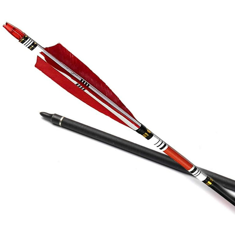 Carbon Arrows With Feathers