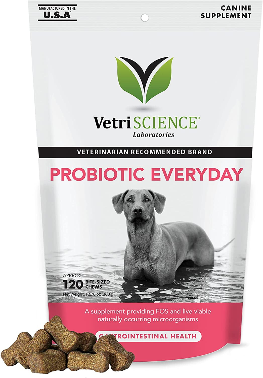 VetriScience Probiotic Everyday for Dogs, Digestive Health Supplement ...