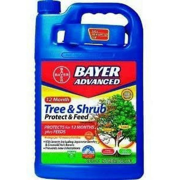 Bayer Tree And Shrub