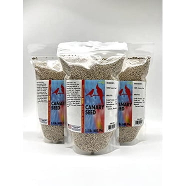 Vita Seed Canary natural with added vitamins & minerals 5lbs - Walmart.com