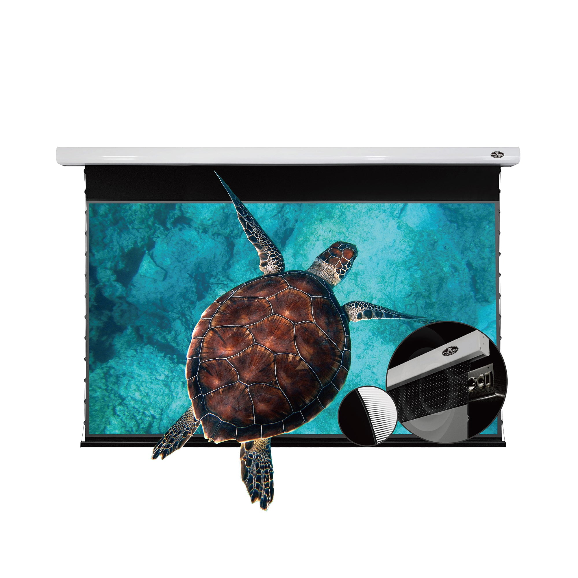 PRO P Slimline Tension Screen With UST ALR P (Ambient Light Rejecting ...