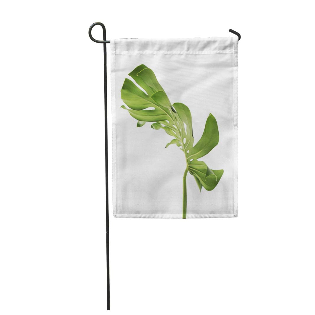 JSDART Monstera Large Green Jungle Leaf Unique Tropical Swiss Cheese ...