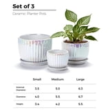 Ton Sin Ceramic Plant Pots, 4" 5" 6", Pearl Gold Indoor Set of 3 ...