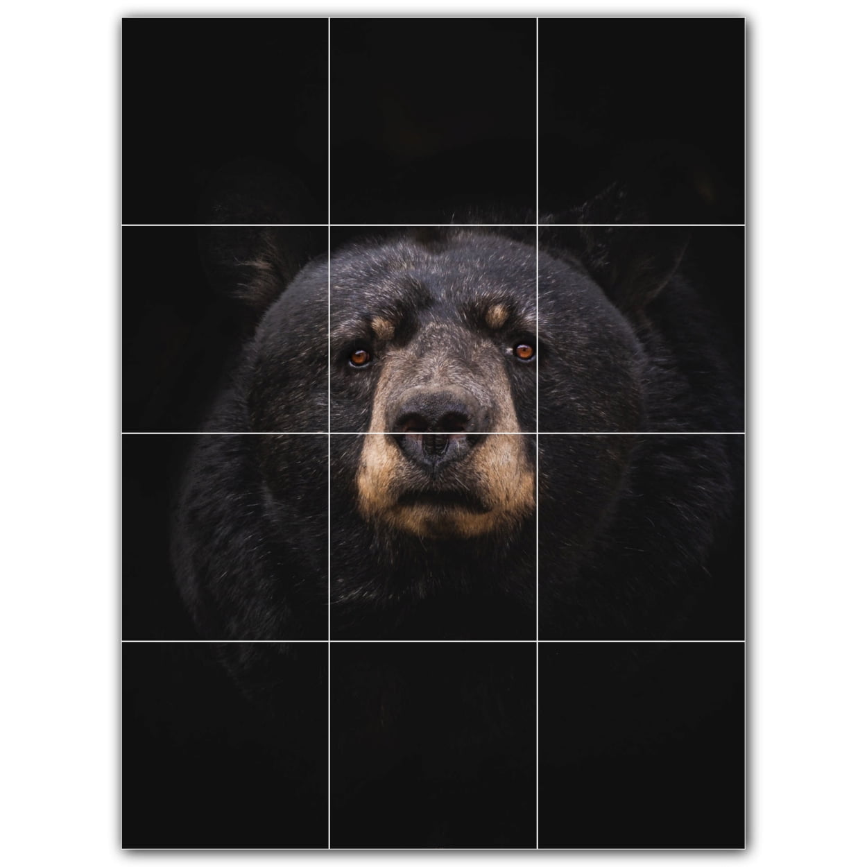 Picture-Tiles.com: Bear Ceramic Tile Wall Mural WAL500115-34M. 18"W x ...
