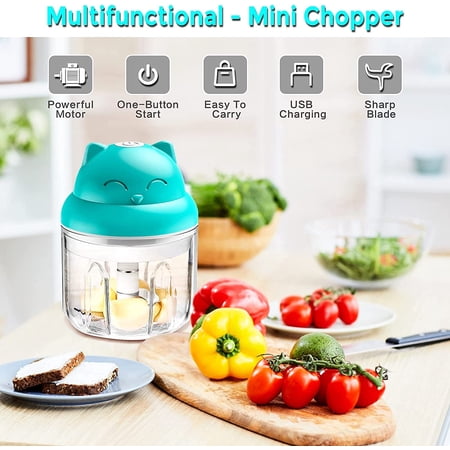 Mini Multi Grinder Electric Chopper, 250ml Blender Mixer with 3 Blades ...