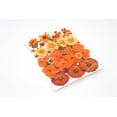 14 Types 37pcs Orange Dried Pressed Flowers for Resin Molds, Real ...