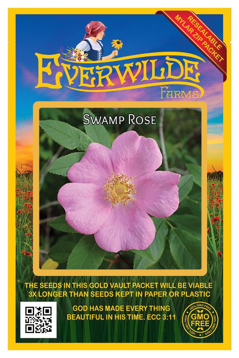 Everwilde Farms - 100 Swamp Rose Native Wildflower Seeds - Gold Vault ...