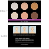 SHANY Powder Contour & Highlighter Sculpting Palette - Refill for the 6 ...