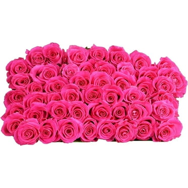 Garden Roses Rainbow 36 Stems of Farmers Choice Choosen from Pink ...