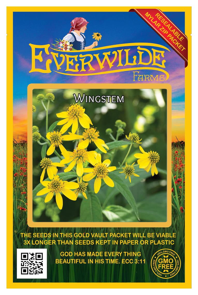Everwilde Farms - 400 Wingstem Native Wildflower Seeds - Gold Vault ...