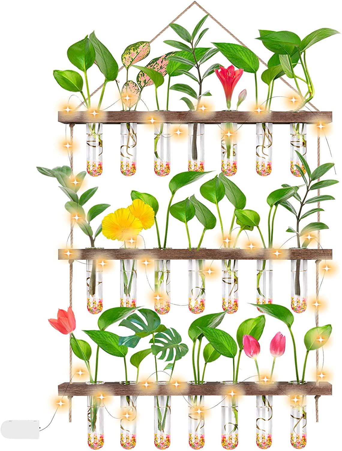 Buy EVEAGE Propagation Station, Wall Hanging Planter Terrarium with ...