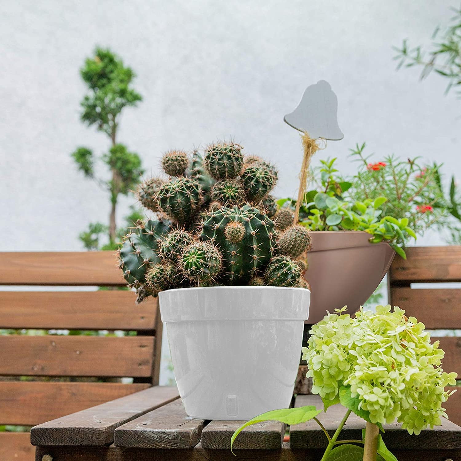 DecoPots - Self Watering Planter - Modern Flower Pot with Water Level ...