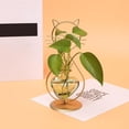 Plant Terrarium Plants Propagation Station Cat Lover Gifts for Women ...