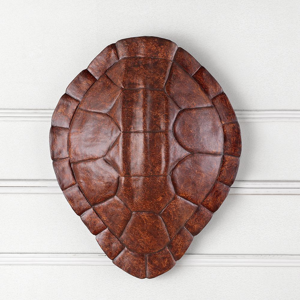 Large Turtle Shell Wall Decor Wall Design Ideas
