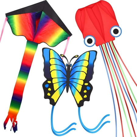 3 Pieces Huge Kites Large Rainbow Delta Kite Blue Butterfly Kite and ...