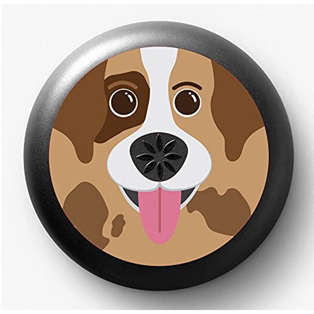 Invisalign Aligner and Retainer Case-Dog - Walmart.com