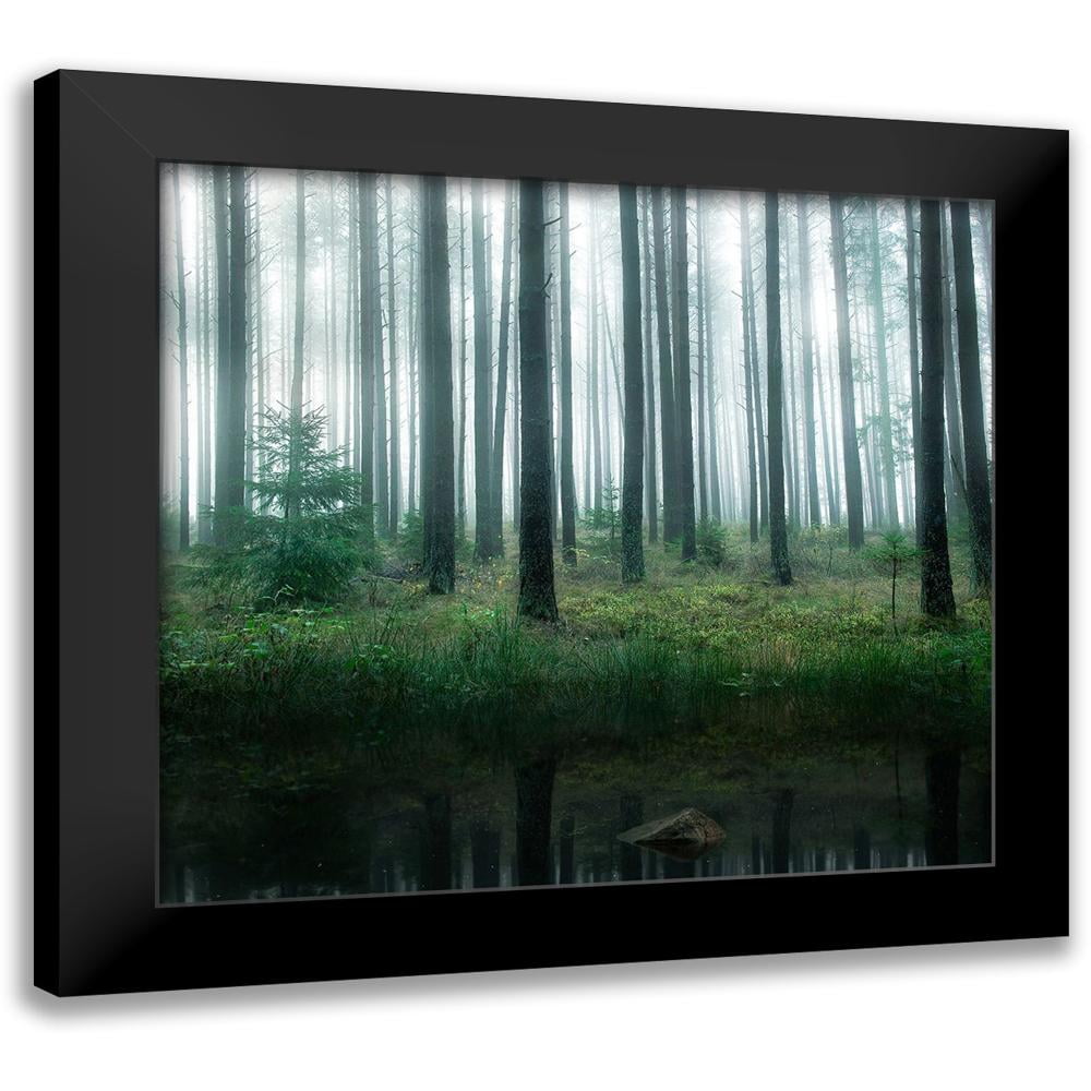 Lindsten, Christian 16x15 Black Modern Framed Museum Art Print Titled - Lake in forest - Walmart.com