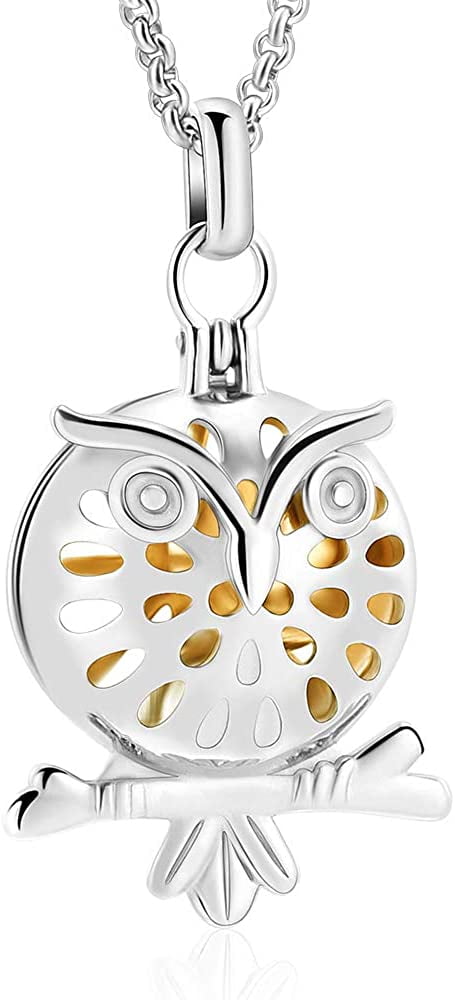 Memorial Pendant Cremation Jewelry Urn Necklace for Ashes for Women ...