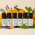 Plant Therapy Organic Essential Oil Set - Lavender, Peppermint ...