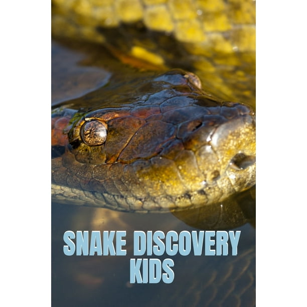 Discovery Books for Kids: Snake Discovery Kids : Jungle Stories Of ...