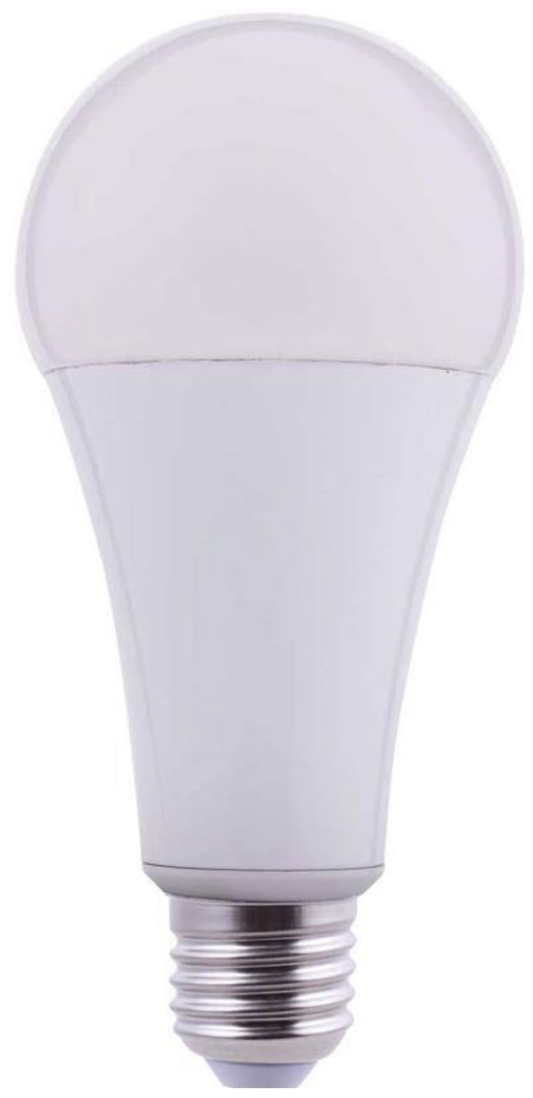 Ecosmart 300 Watt Daylight A23 Dimmable 4000 Lumen LED Light Bulb (1006 ...