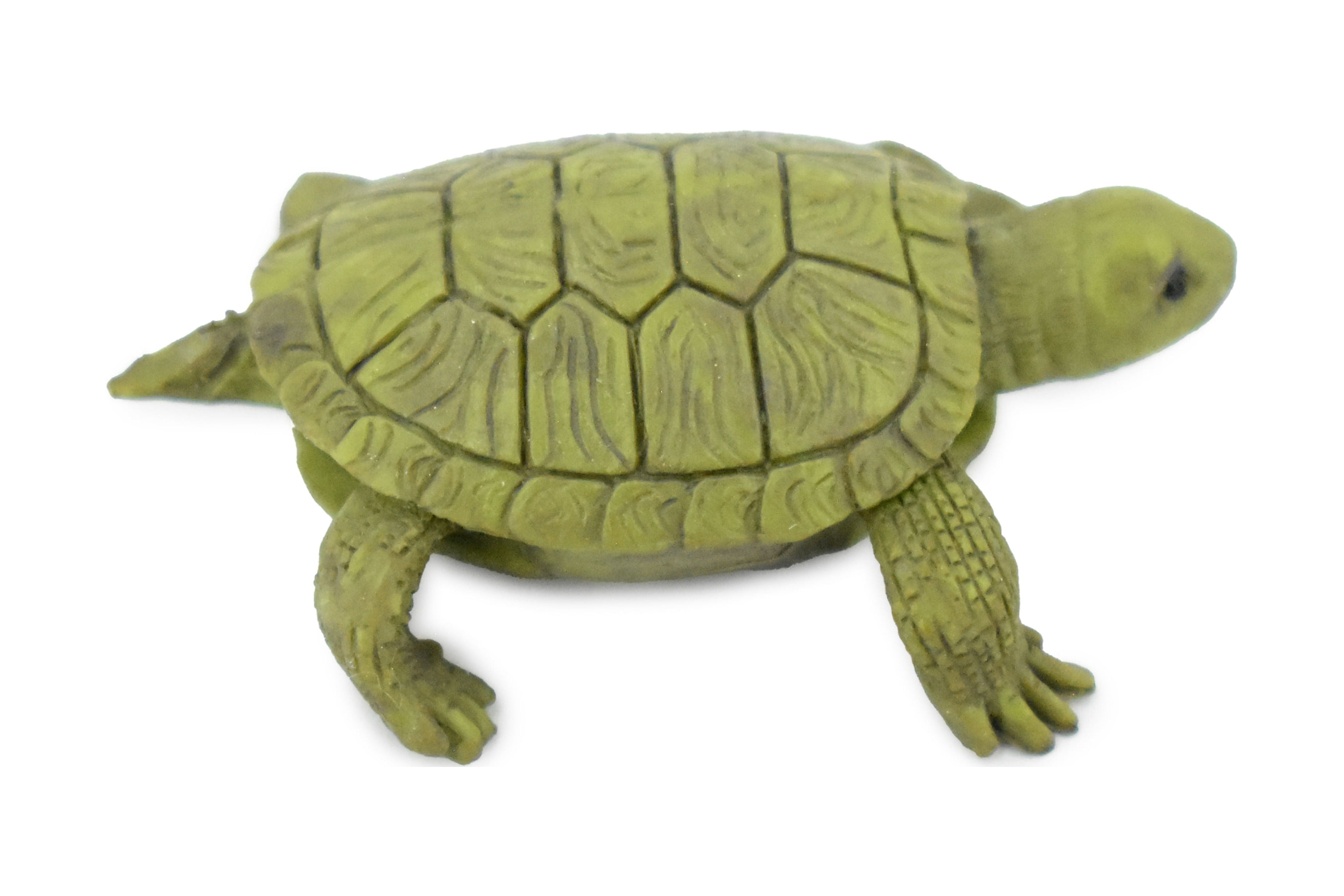 Turtle, Box Turtle, Pond Turtle, Plastic Reptile, Educational ...