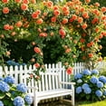 Artificial Rose Vine Garland – 180cm Artificial Flower Hanging Vines ...